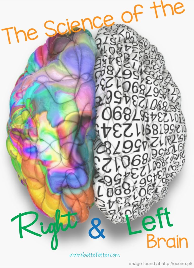 Visual Thinker Podcast | Right Brain Dominant | Bette Fetter